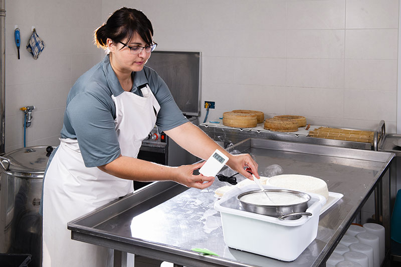 Vous êtes fromager et chercher un emploi : contactez AGRI TEAM